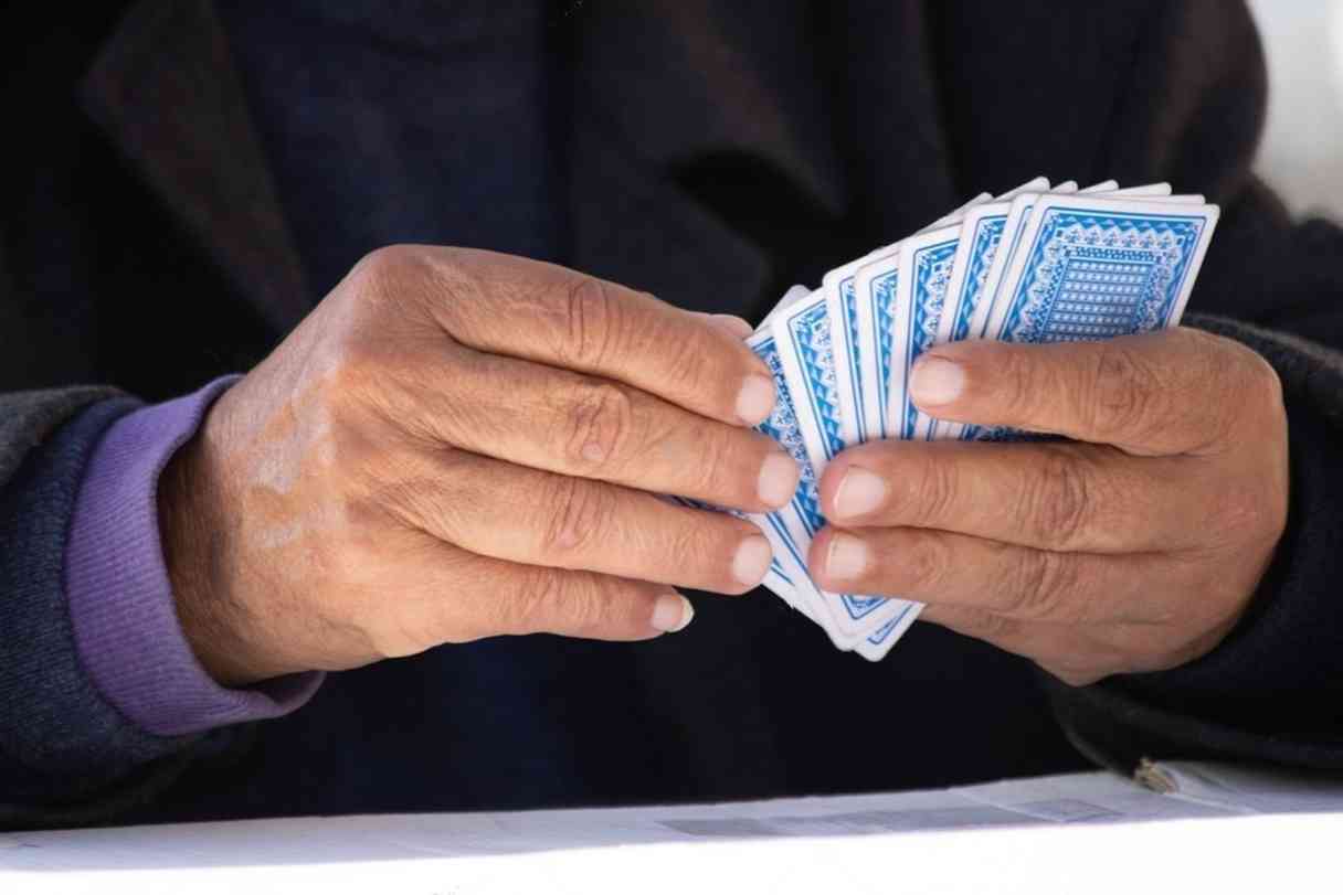 Bridge Play 4 Hands - Learn and Practice Online | Bridge Champ