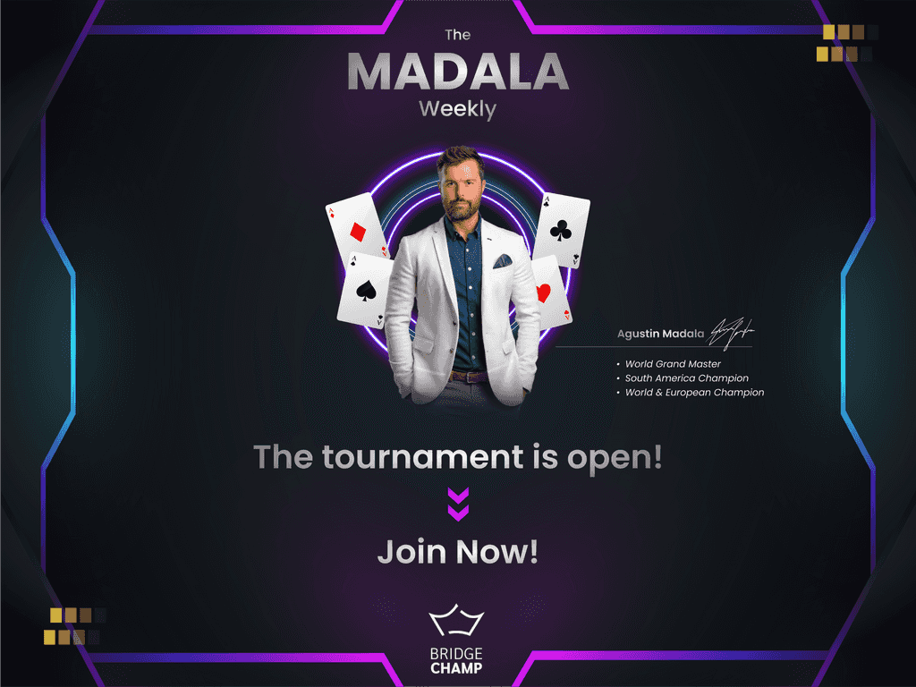 Bridge Champ News & Updates